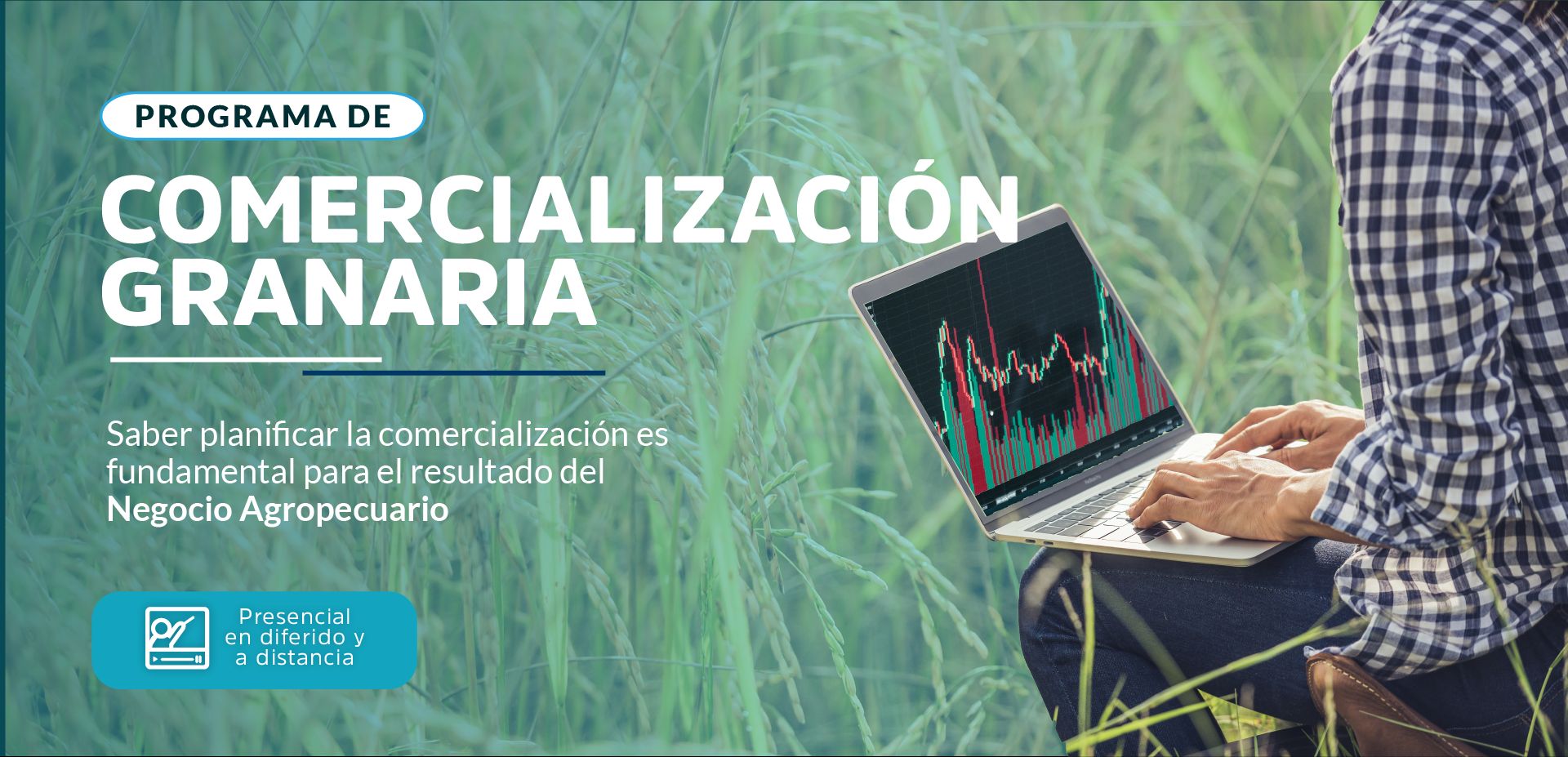 Programa de Comercialización Granaria