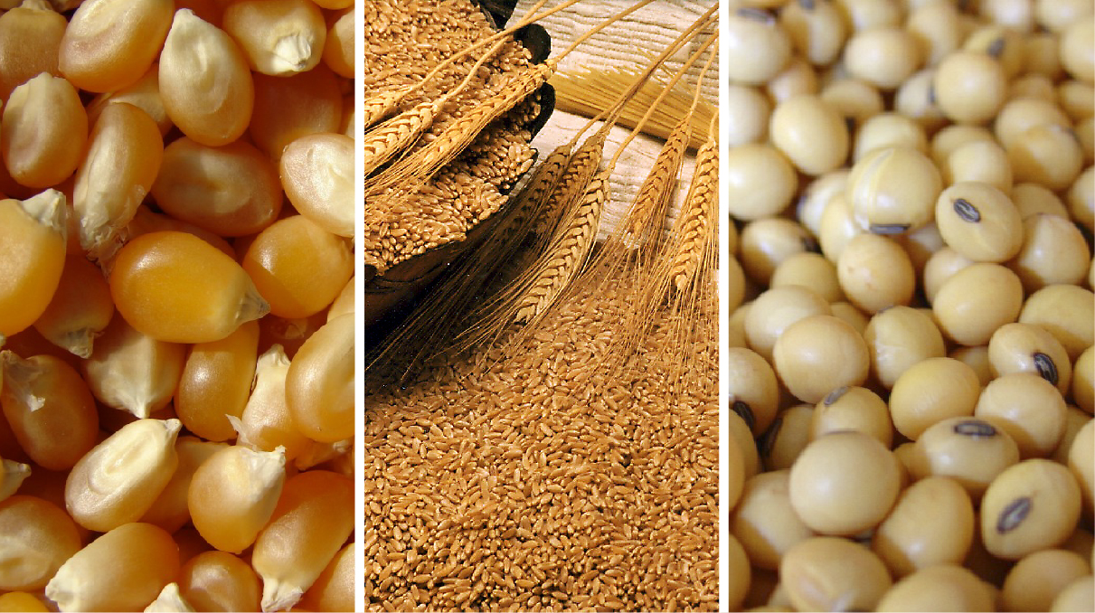 El mercado de grano recupera posiciones y entrega oportunidades de ...