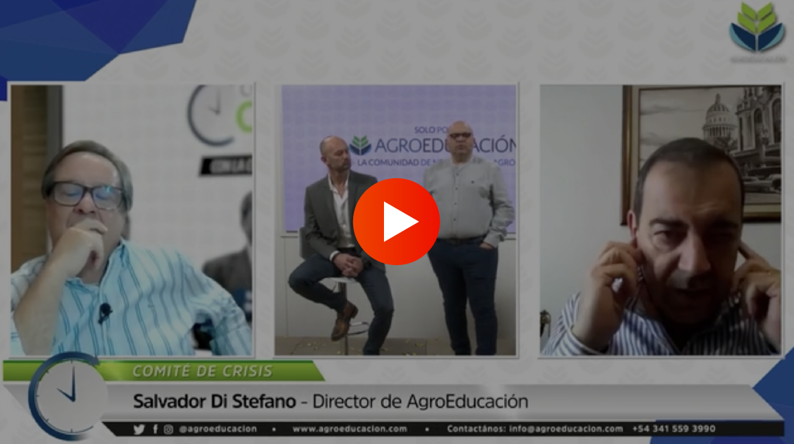 ¿Cómo Está el Mercado? y la Problemática del Trigo – Javier Bujan y ...