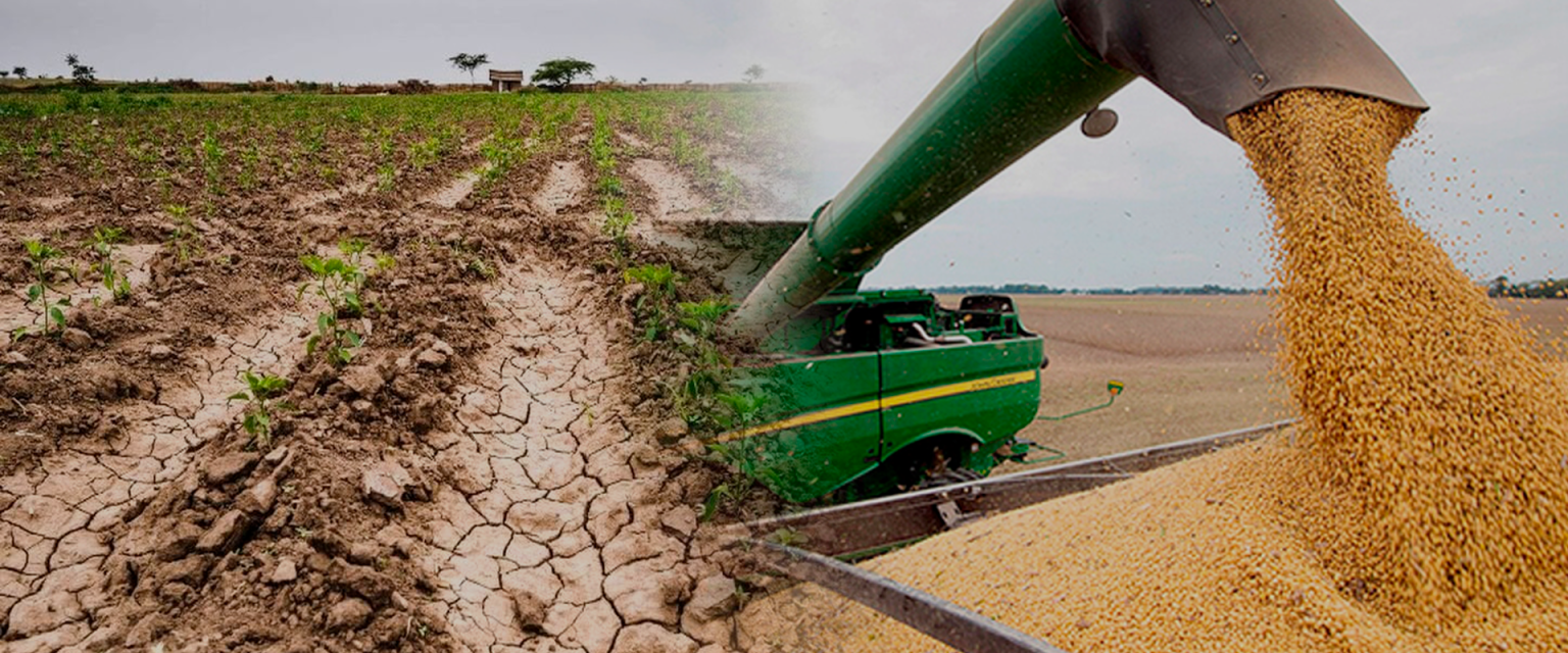 El desafío de dos cosechas, 22/23 y 23/24 – Agroeducación