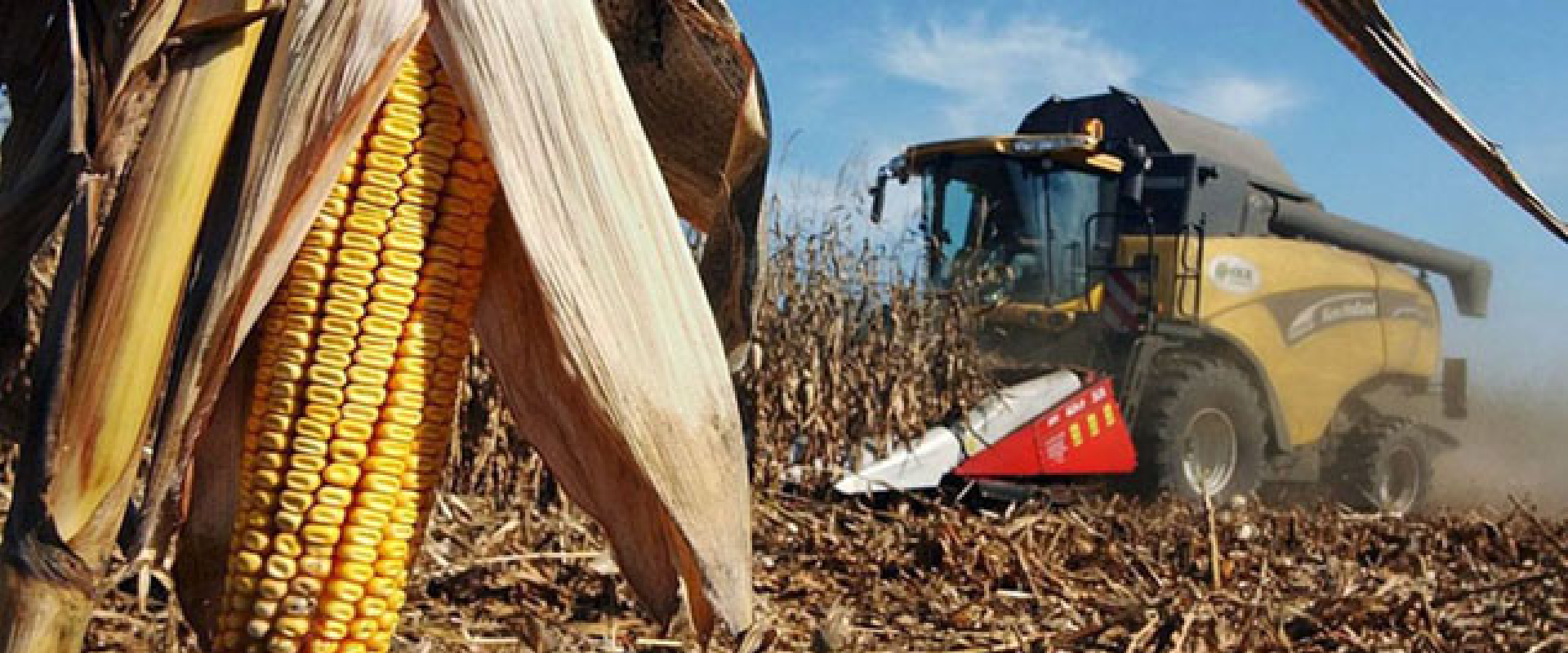 La esperanza de la 23/24, cosecha y gestión – Agroeducación