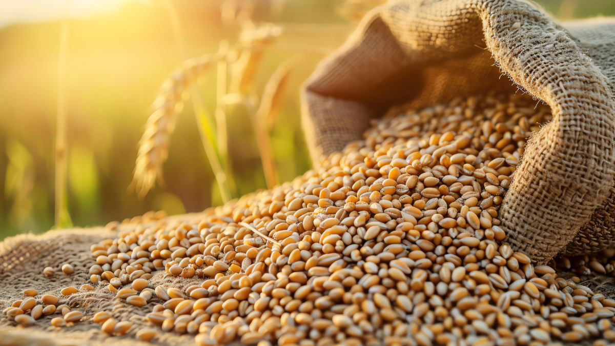 Flujo de Fondos y Comercialización de Granos – Agroeducación