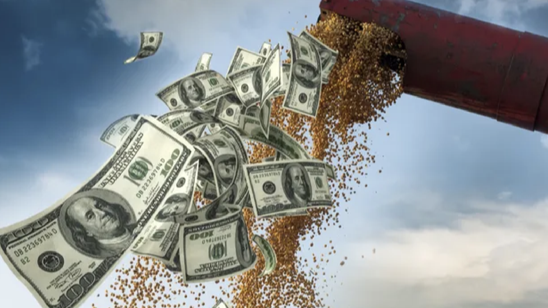 Operaciones agropecuarias en dólares: cómo tributan impuestos las ...