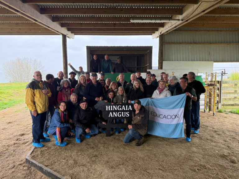 Hingaia Angus: la tradición ganadera neozelandesa de los Jolly ...